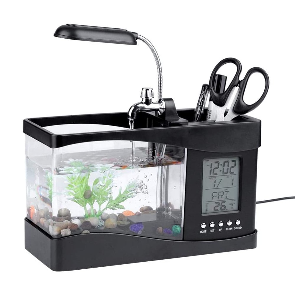 Desktop Aquarium | Desk Fish Tank