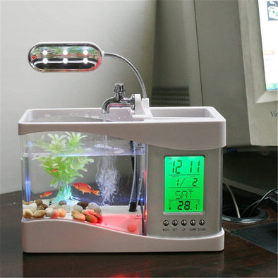 Desktop Aquarium | Desk Fish Tank