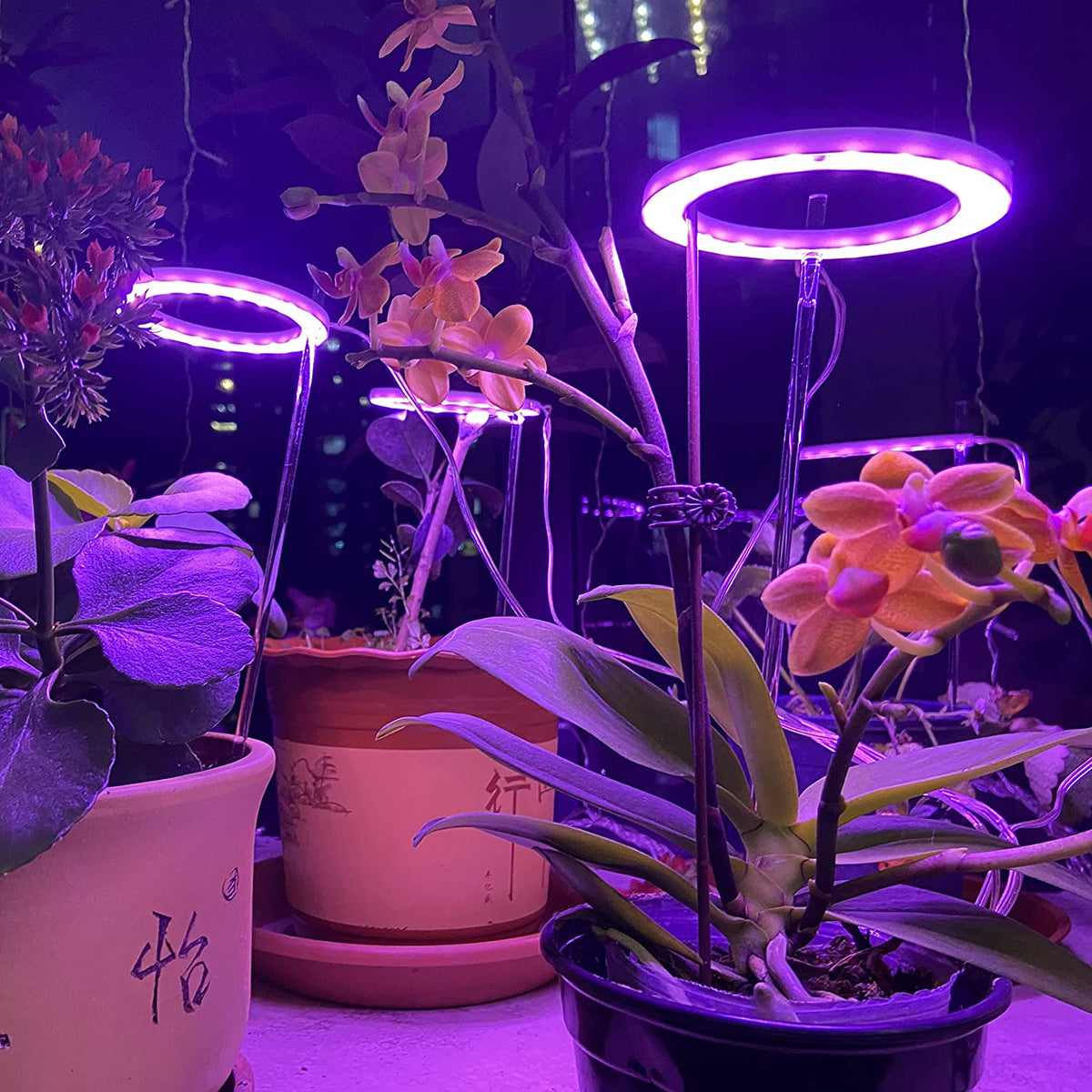 Small Grow Light for Indoor Plants- Full Spectrum LED Grow Light